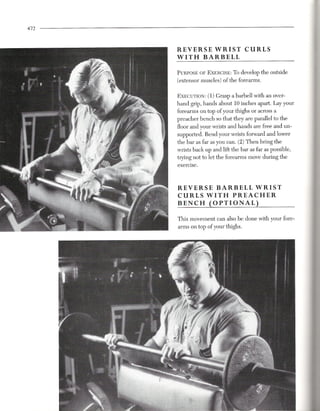 Book 3 8 3 Forearms | PDF