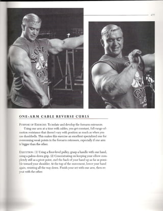 Book 3 8 3 Forearms | PDF