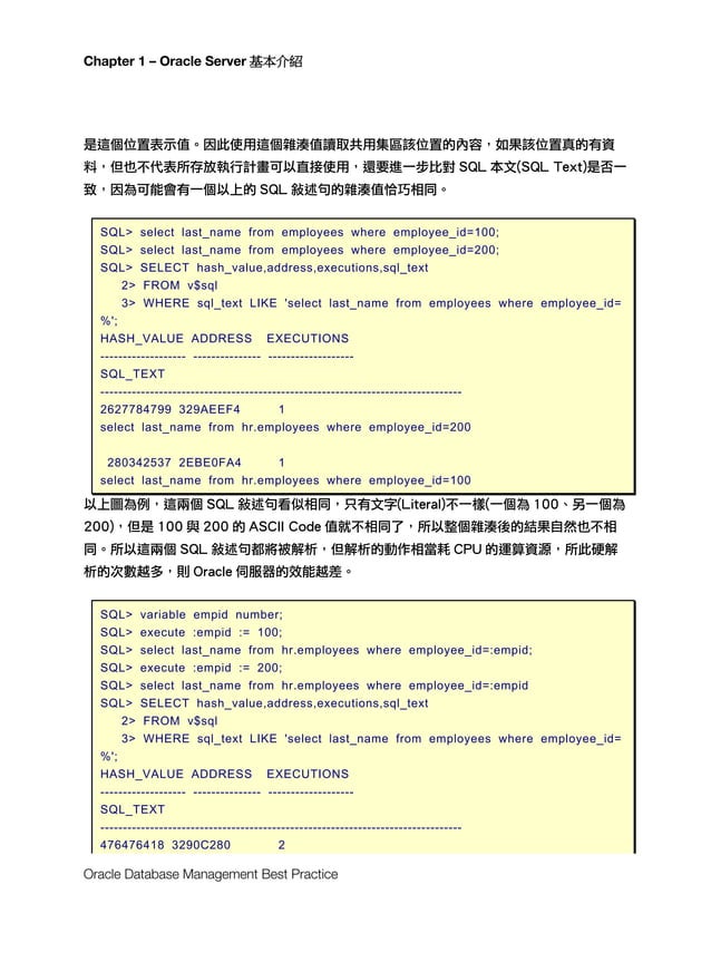Oracle Instance 介紹 | PDF