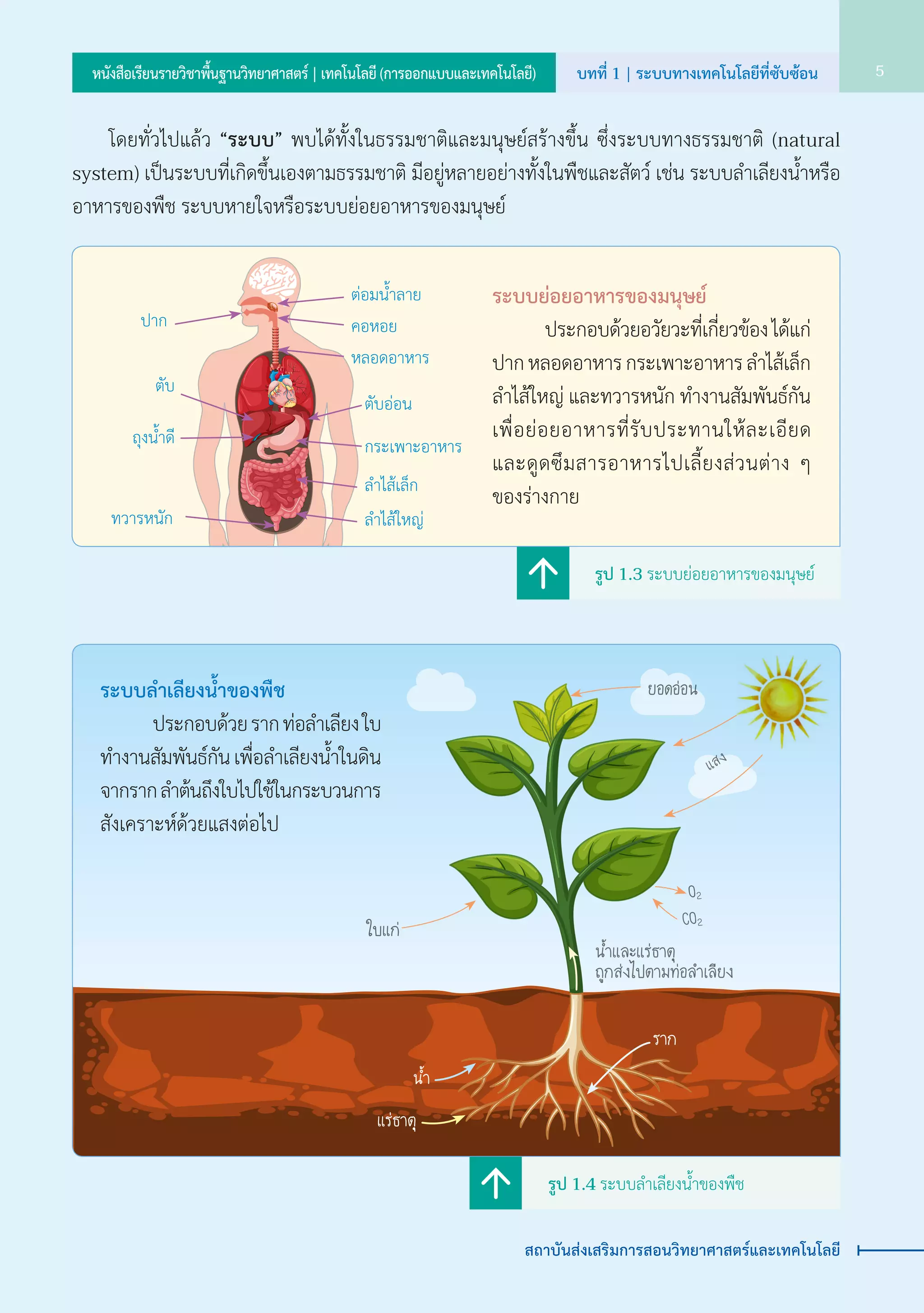 Book design example | PDF