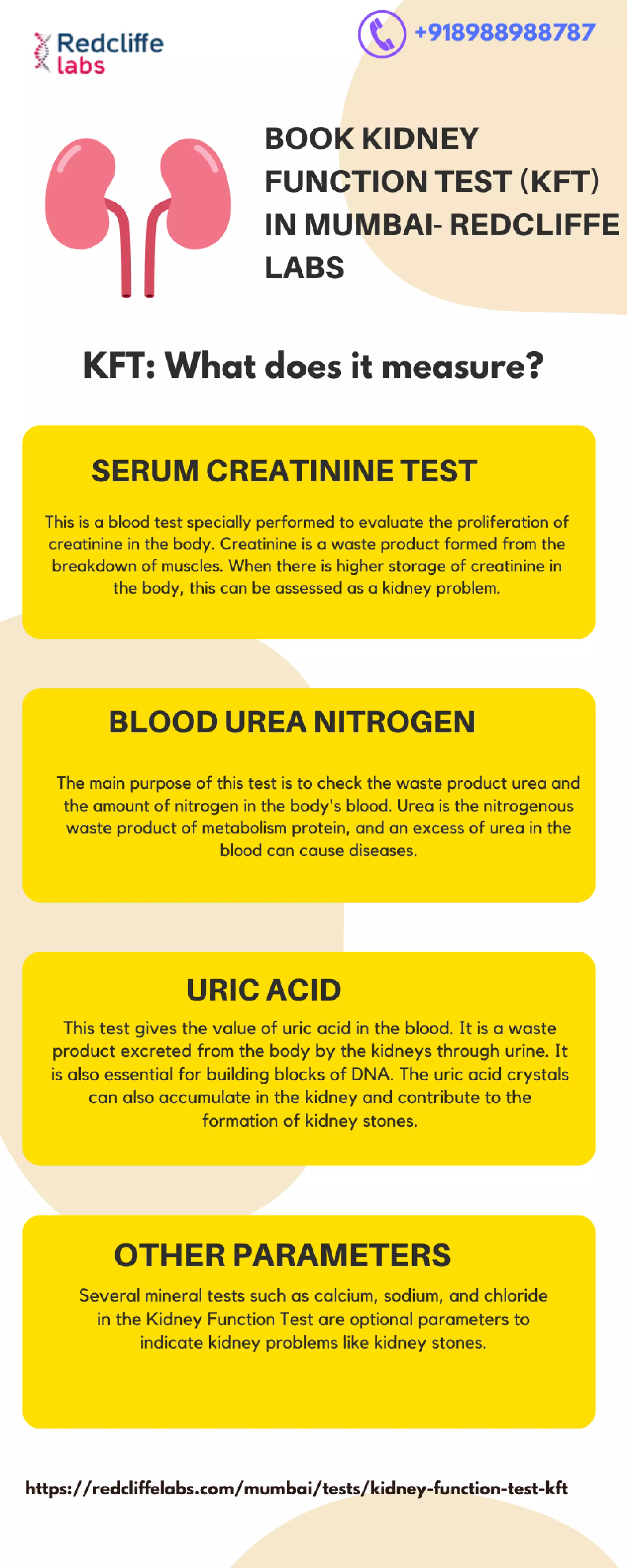 Book Kidney Function Test (KFT) in Mumbai- Redcliffe Labs (2).pdf