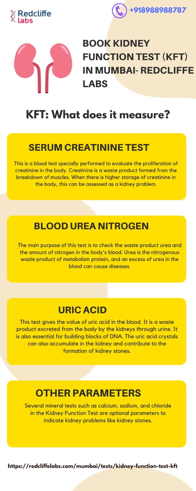 Book Kidney Function Test (KFT) in Mumbai- Redcliffe Labs (2).pdf