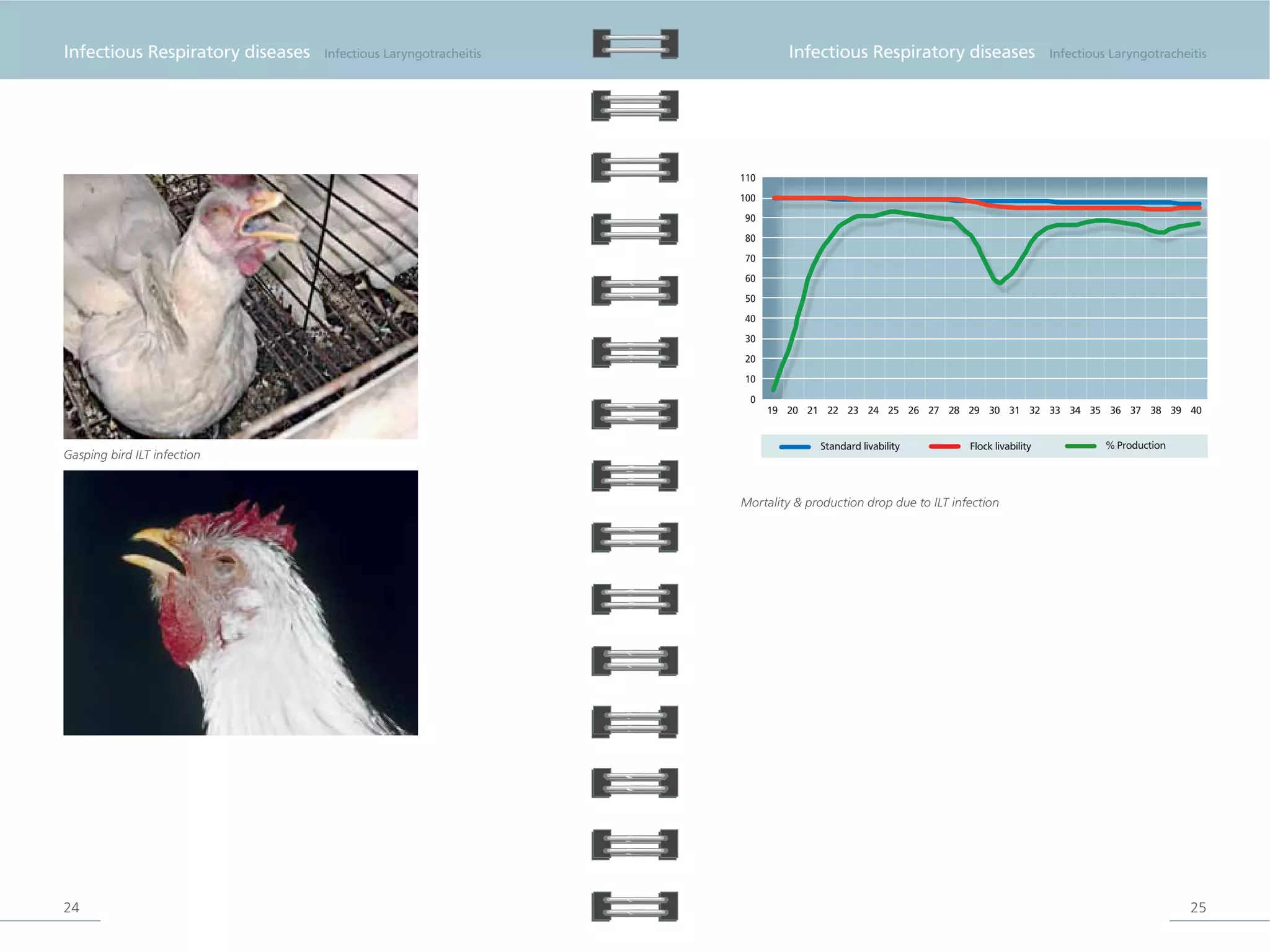 Important poultry diseases | PDF