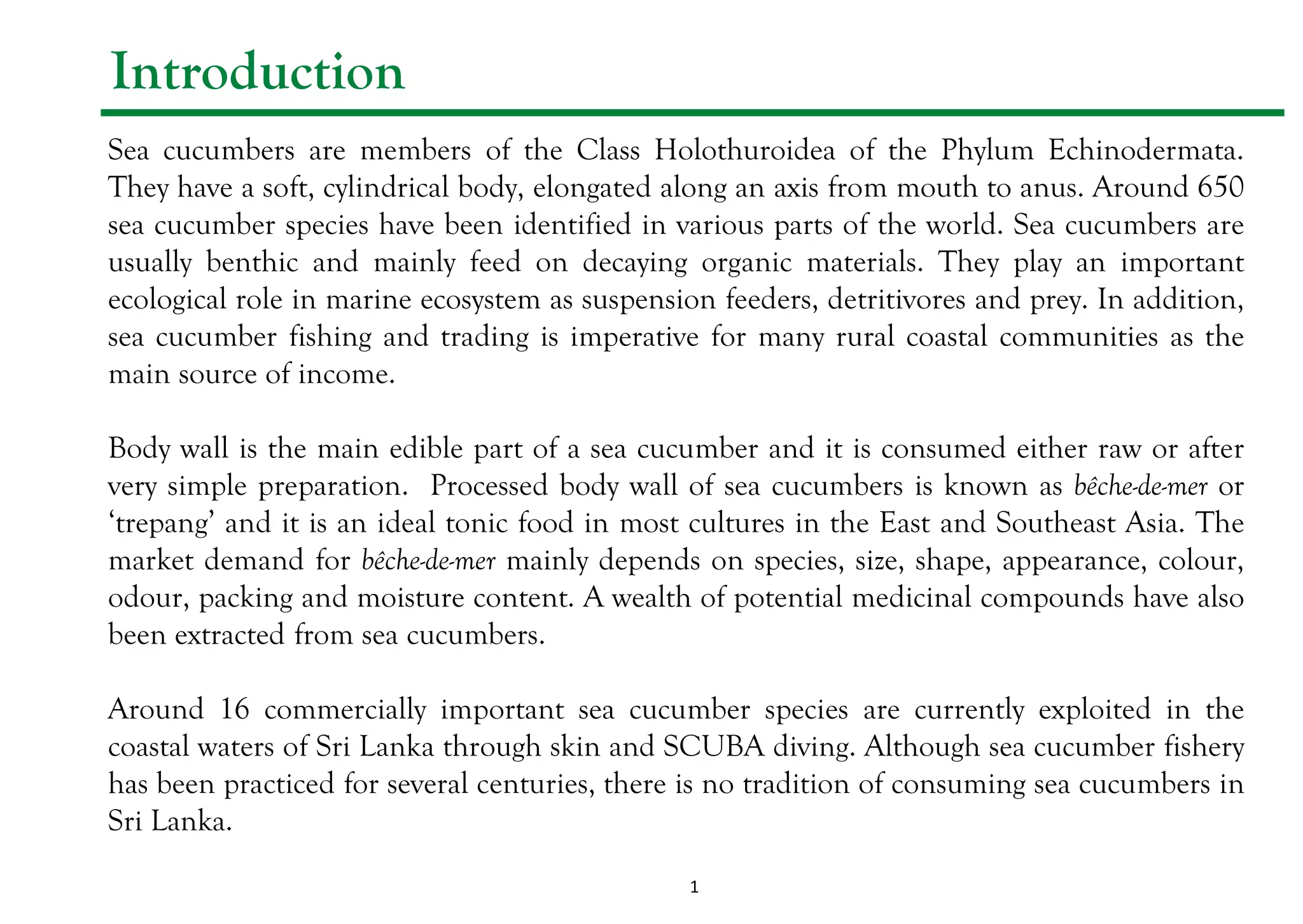 FRESH AND PROCESSED SEA CUCUMBERS OF SRI LANKA: Identification Guide | PDF