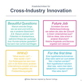 Book Review #1 "Cross Industry Innovations" | PDF
