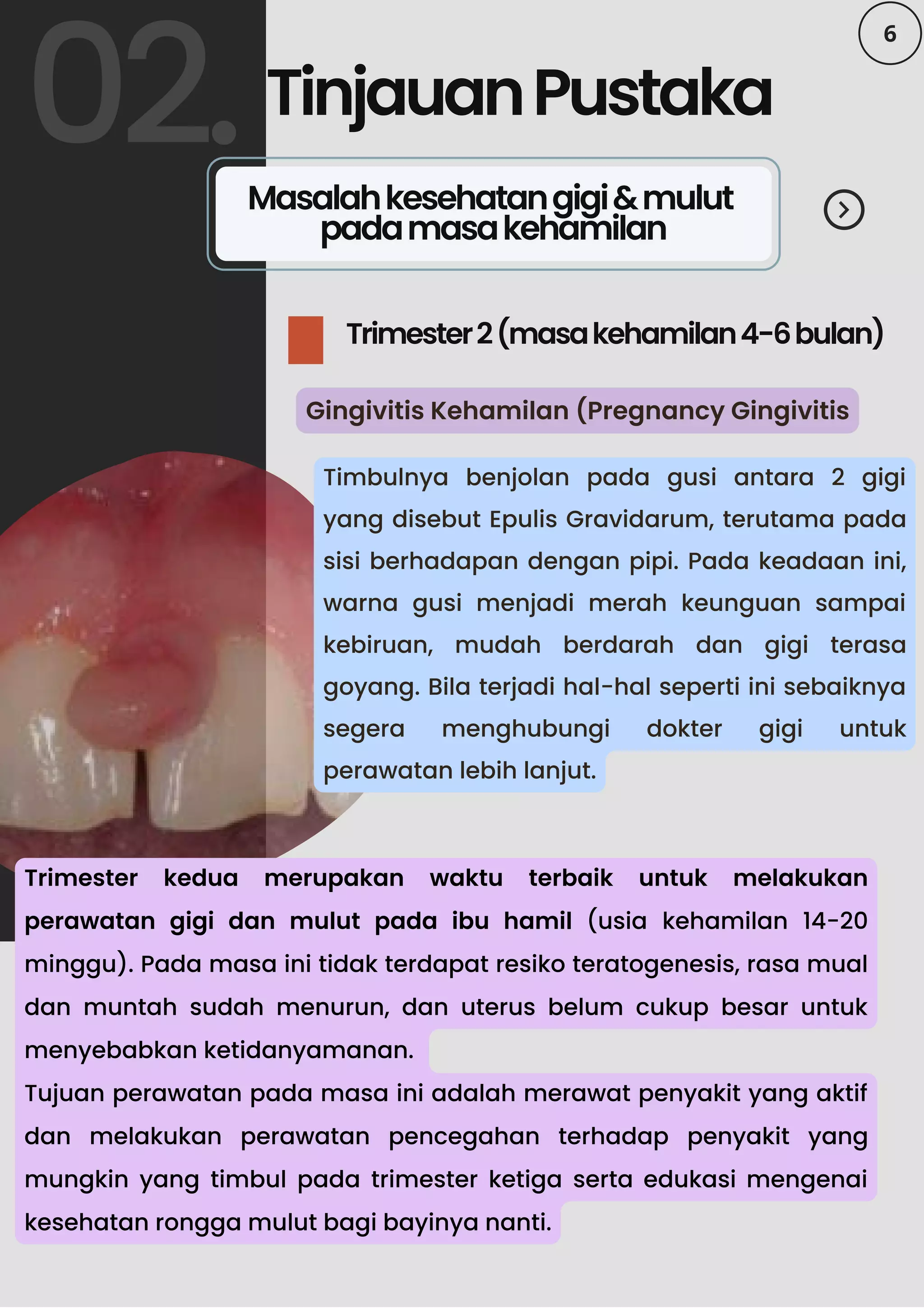 Buku Digital Kesehatan Gigi dan Mulut Ibu Hamil | PDF