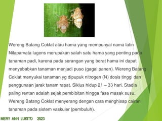 BOOKLET hama penting persemaian-mery padi.ppt