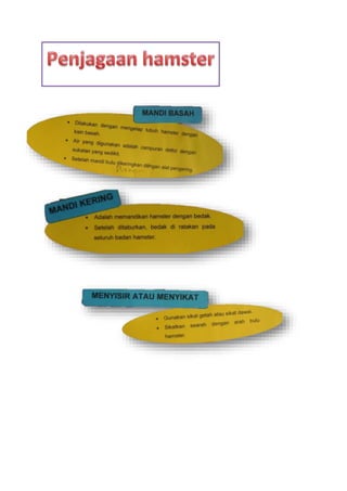 Booklet hamster | DOCX