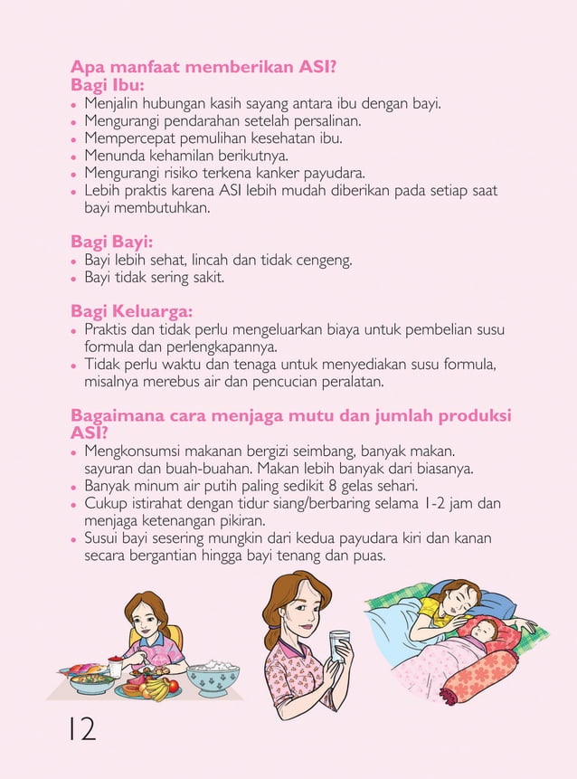 Booklet phbs rumah tangga | PDF