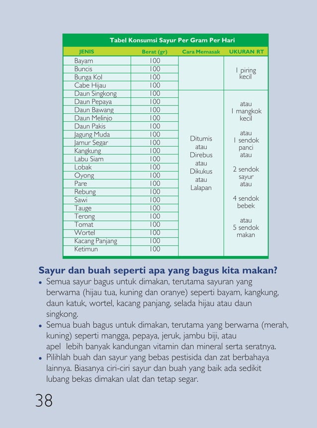 Booklet phbs rumah tangga | PDF