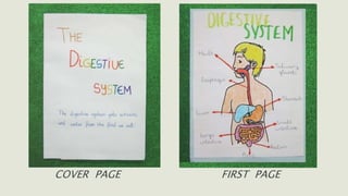 The digestive system booklet | PPT