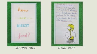 The digestive system booklet | PPTX