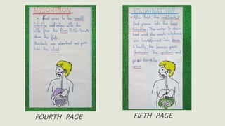 The digestive system booklet | PPT