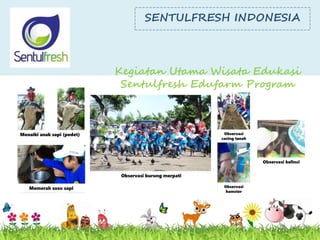 wisata Edukasi TK di Bogor, sentulfresh 2017 | PPT