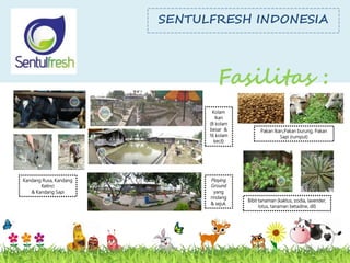 wisata Edukasi TK di Bogor, sentulfresh 2017 | PPT