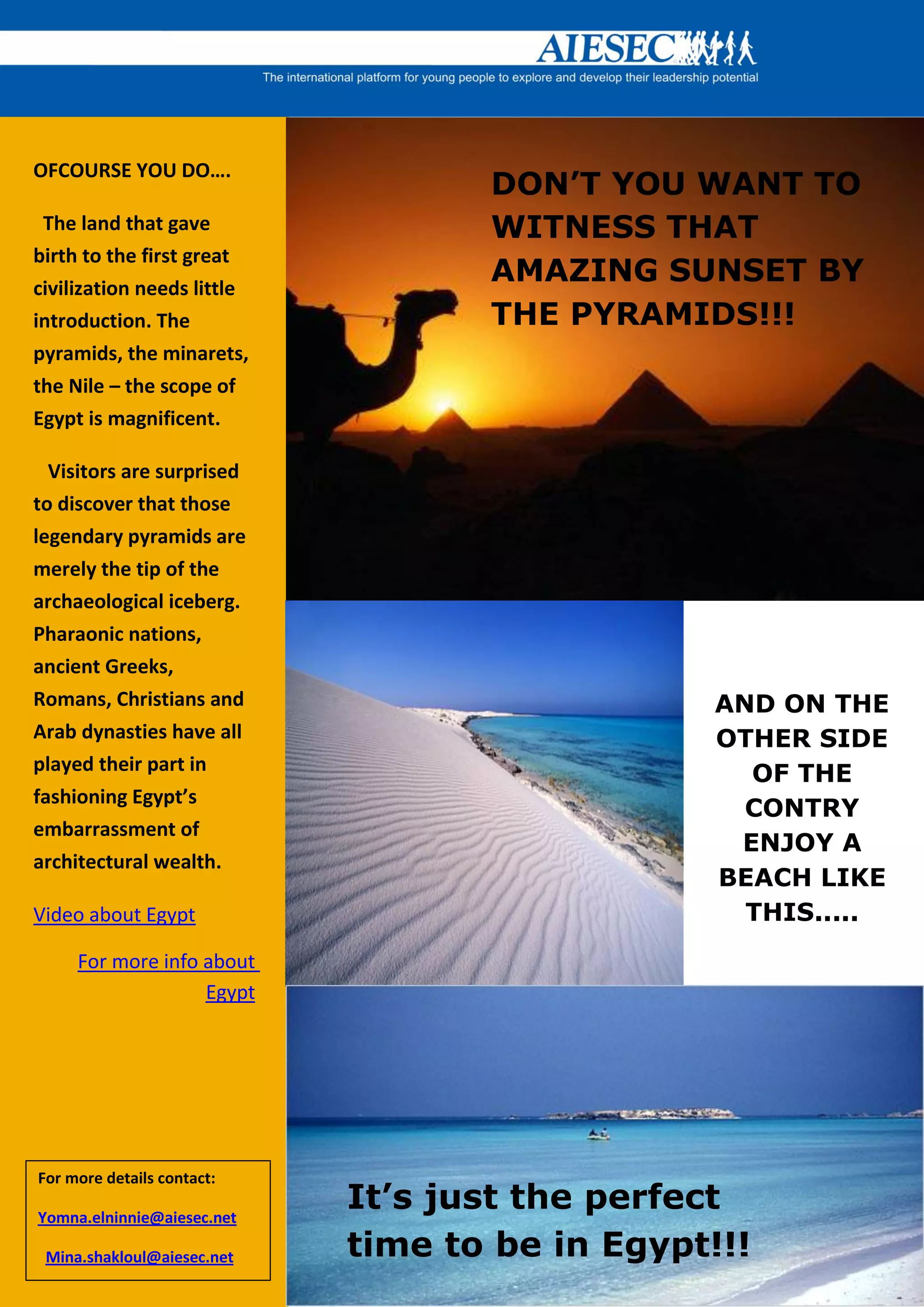 AIESEC ALEXANDRIA - EGYPT | PDF