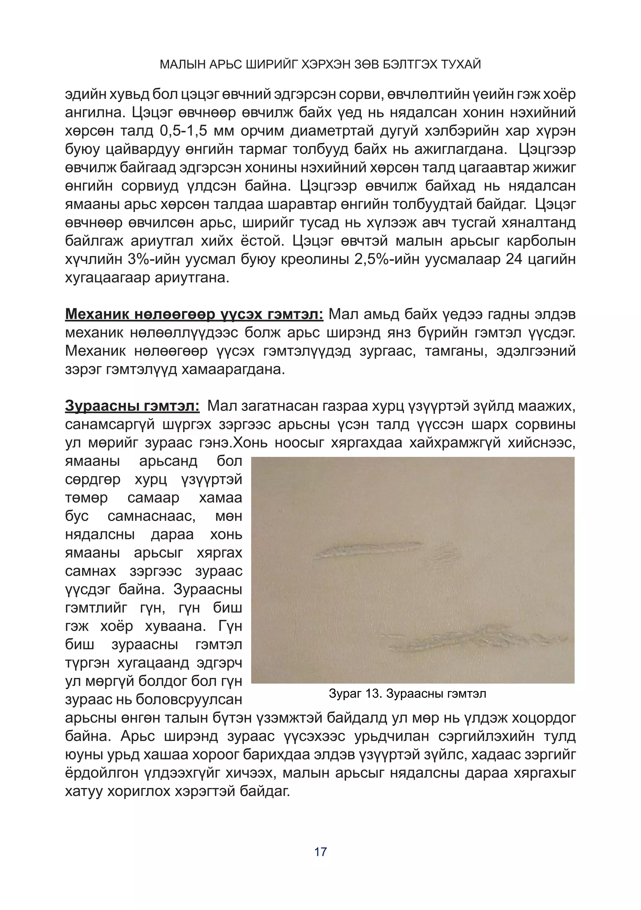 Малын арьс ширийг хэрхэн зөв бэлтгэх тухай Preparation Standard Of