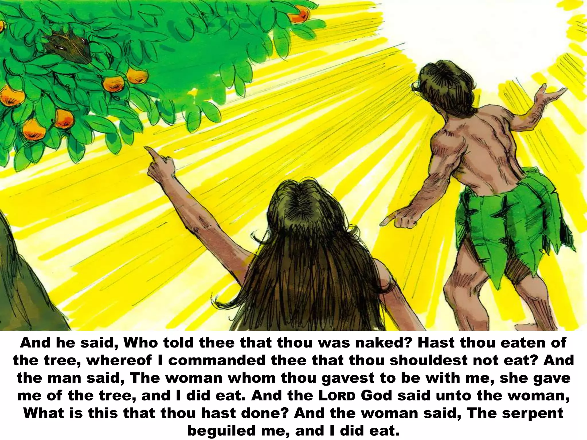 Book of Genesis - The Fall Of Man | PPT