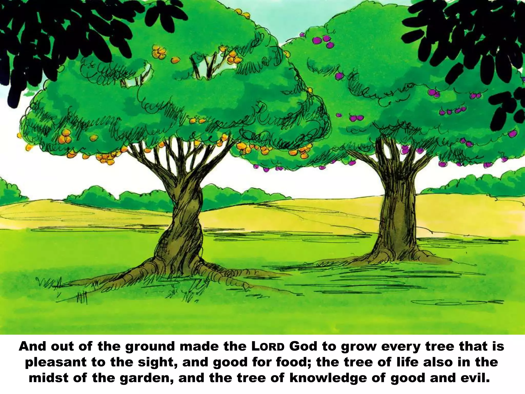 Book of Genesis - The Fall Of Man | PPT