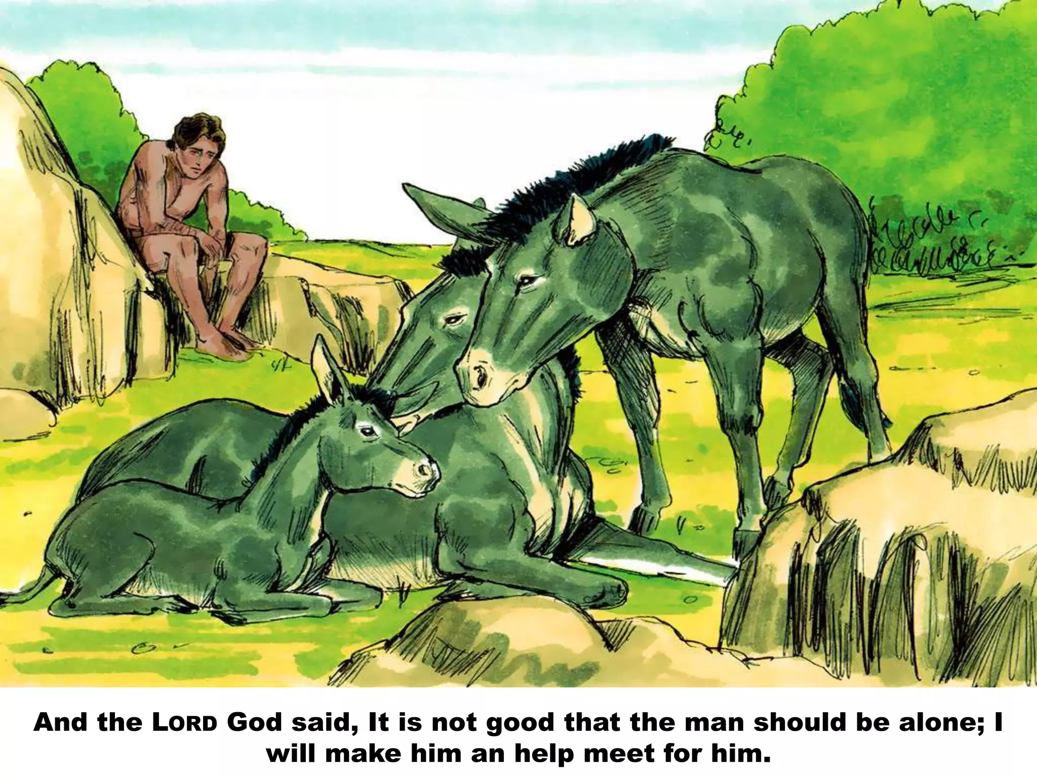 Book of Genesis - The Fall Of Man | PPT