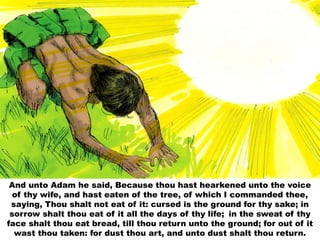 Book of Genesis - The Fall Of Man | PPT