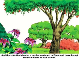 Book of Genesis - The Fall Of Man | PPT