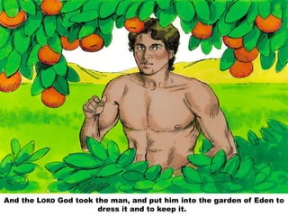 Book of Genesis - The Fall Of Man | PPT
