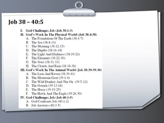 Book of Job - Biblical Literature | PPS