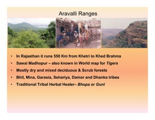 Indigenous Herbal Medicines: Tribal Formulations and Traditional Herbal ...