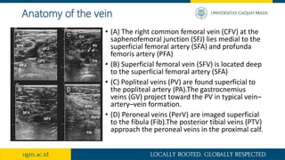 Book reading doppler vena.pptx
