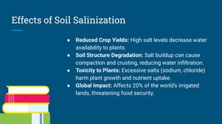 The soil salination on water irrigation types | PDF
