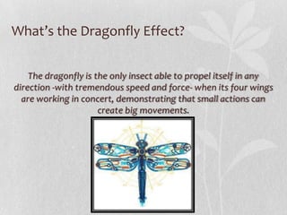 The Dragonfly Effect book report | PPTX