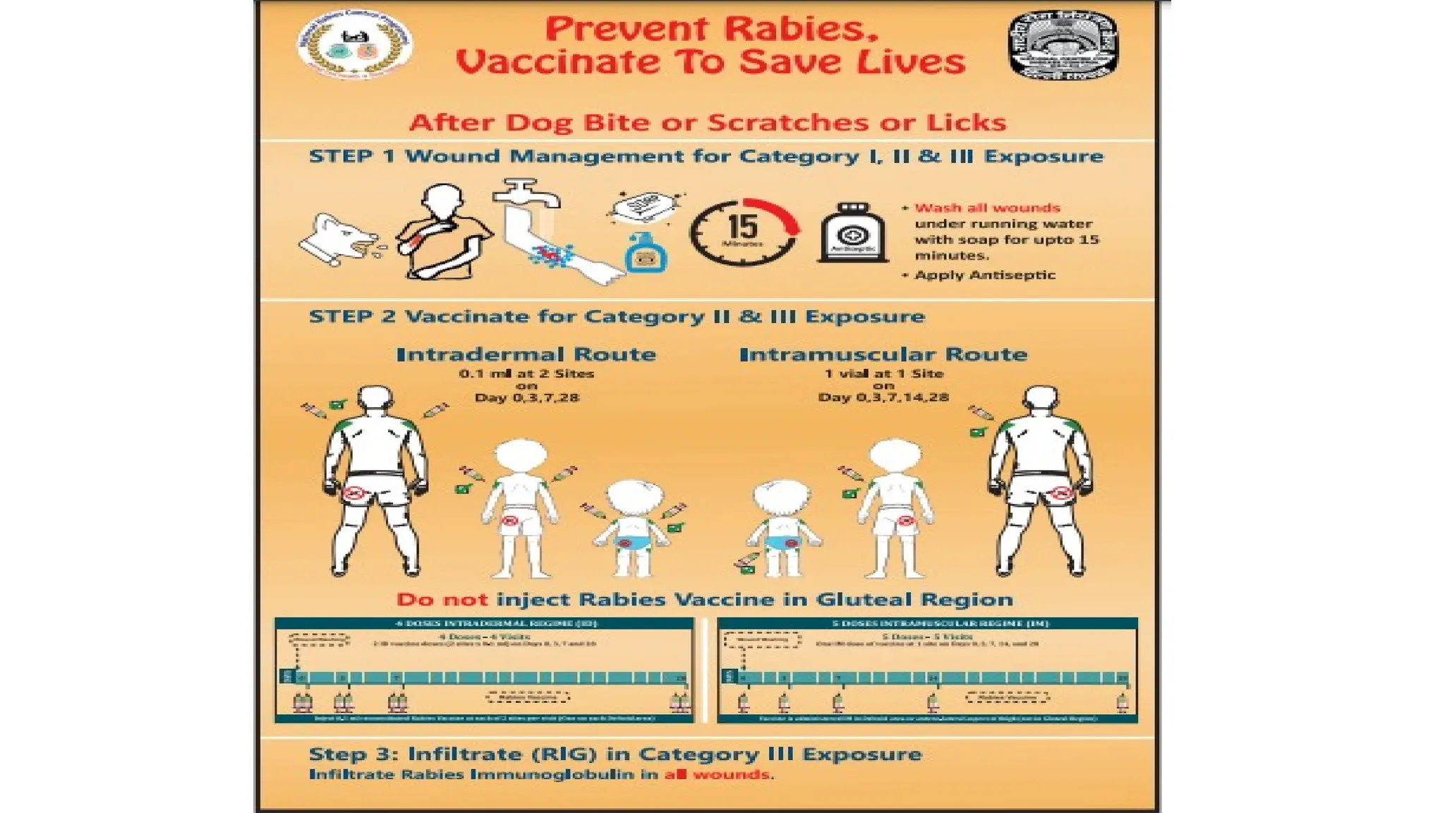 national guidelines on rabies control programe.pptx