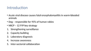 national guidelines on rabies control programe.pptx