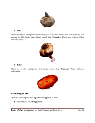 plant systematics and morphological characters of leaves,roots,stem ...