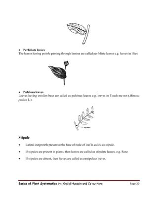 plant systematics and morphological characters of leaves,roots,stem ...