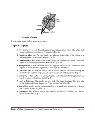 plant systematics and morphological characters of leaves,roots,stem ...