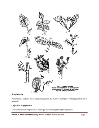 plant systematics and morphological characters of leaves,roots,stem ...