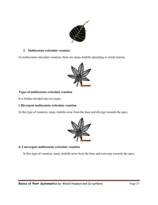 plant systematics and morphological characters of leaves,roots,stem ...