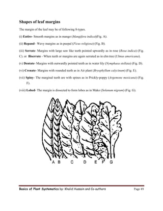 plant systematics and morphological characters of leaves,roots,stem ...