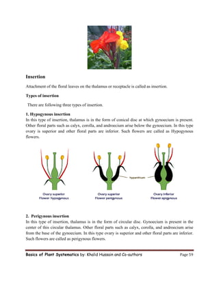 plant systematics and morphological characters of leaves,roots,stem ...