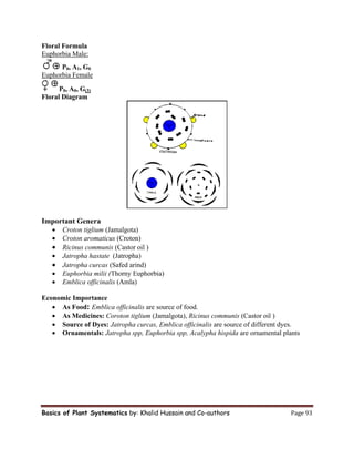 plant systematics and morphological characters of leaves,roots,stem ...