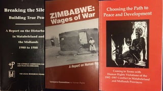 Understanding Zimbabwe with Sara Rich Dorman | PPTX