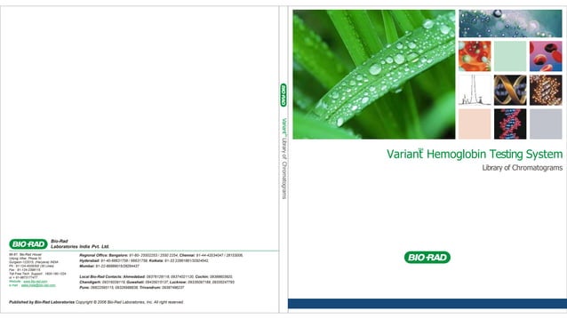 HPLC Hemoglobinopathies patterns atlas HPLC | PPTX | Blood Disorders ...
