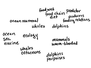 Boolean Operators - The Card Sort Game | PPTX