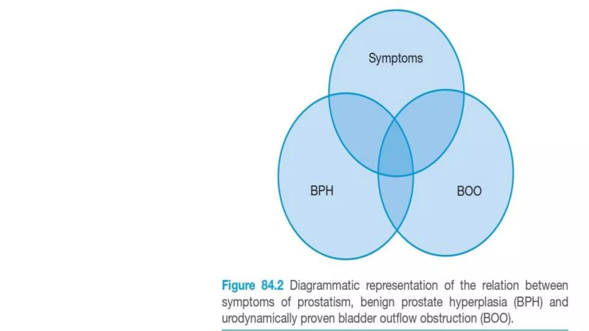 BOO MAY 29.pptx | Free Download