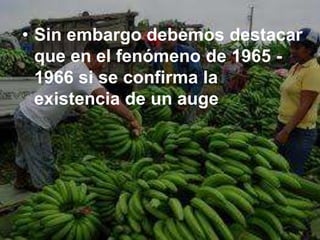 Boom bananero por Karla Flores | PPTX