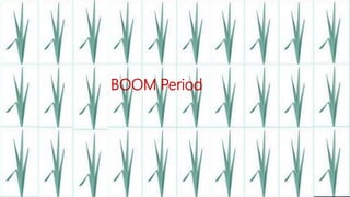 Boom bust cycle | PPTX | Gardening | Home & Garden