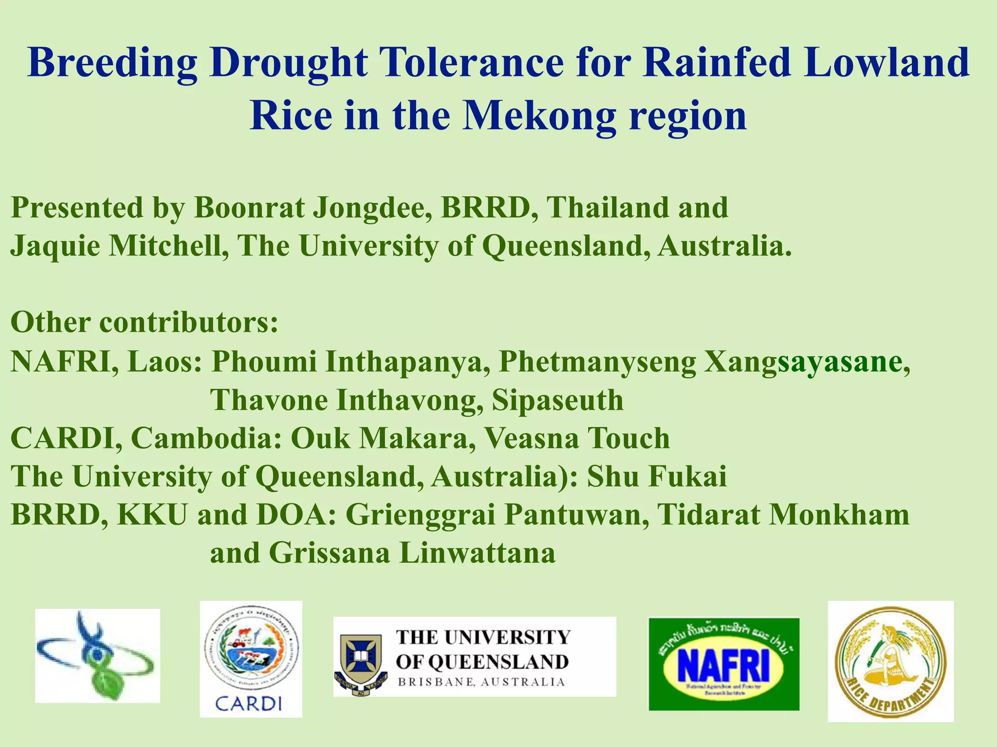 GRM 2013: Breeding Drought Tolerance for Rainfed Lowland Rice in the ...