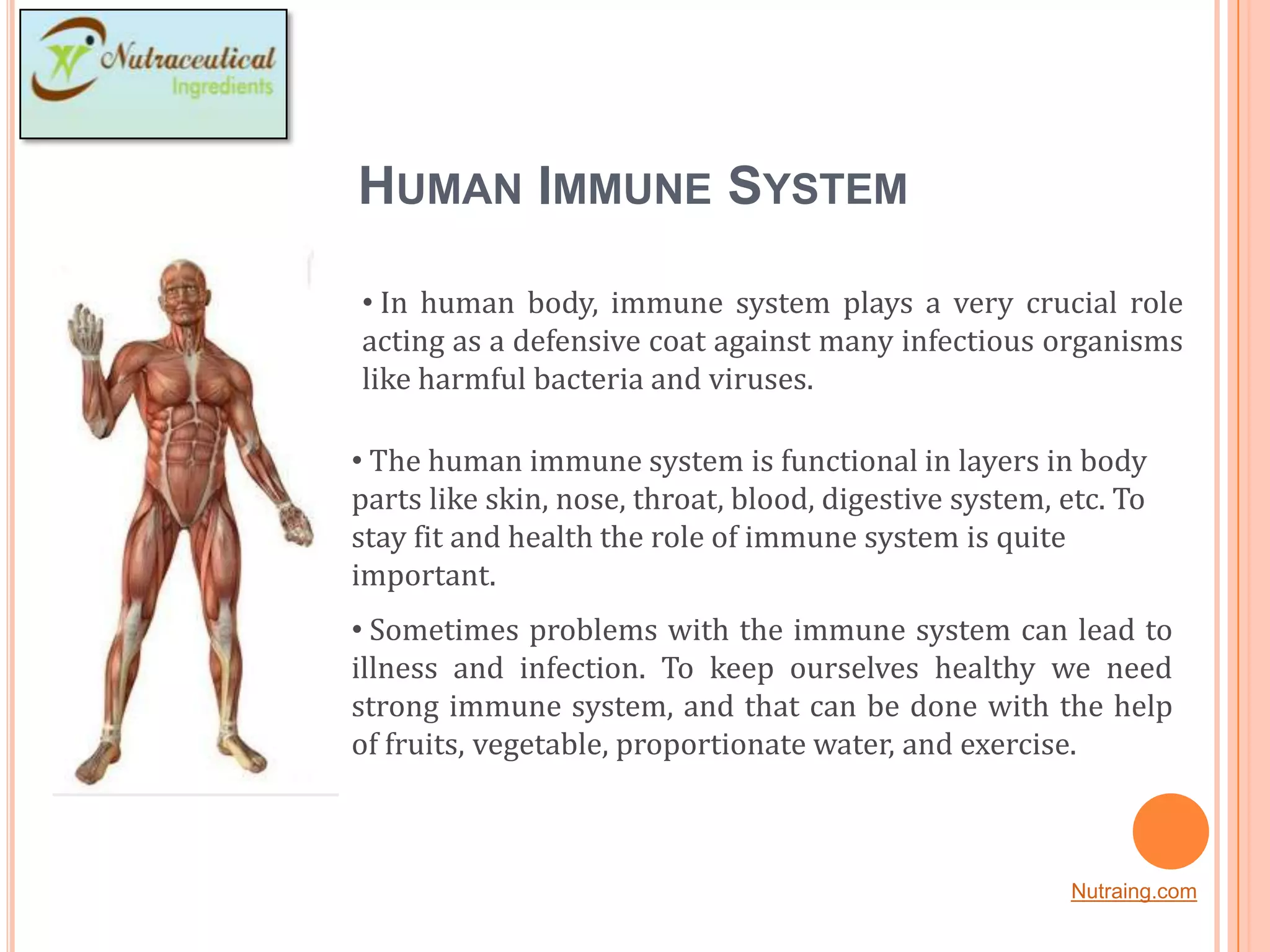 Boost Immune System, Important tips for Boosting Immune System | PPTX
